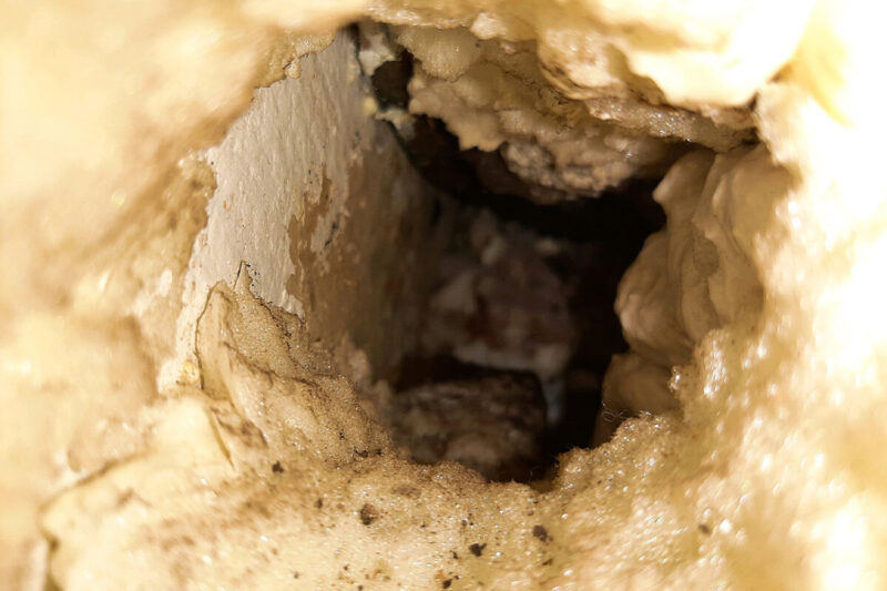 How to Get Rid of a Rat Infestation - Rambo Total Pest Control